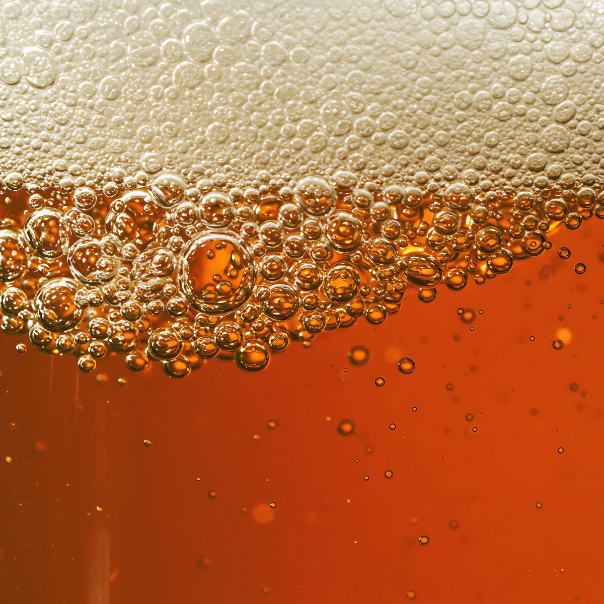 Twisted Cat Alcohol-Free IPA | World Beer Awards 2021 Winner