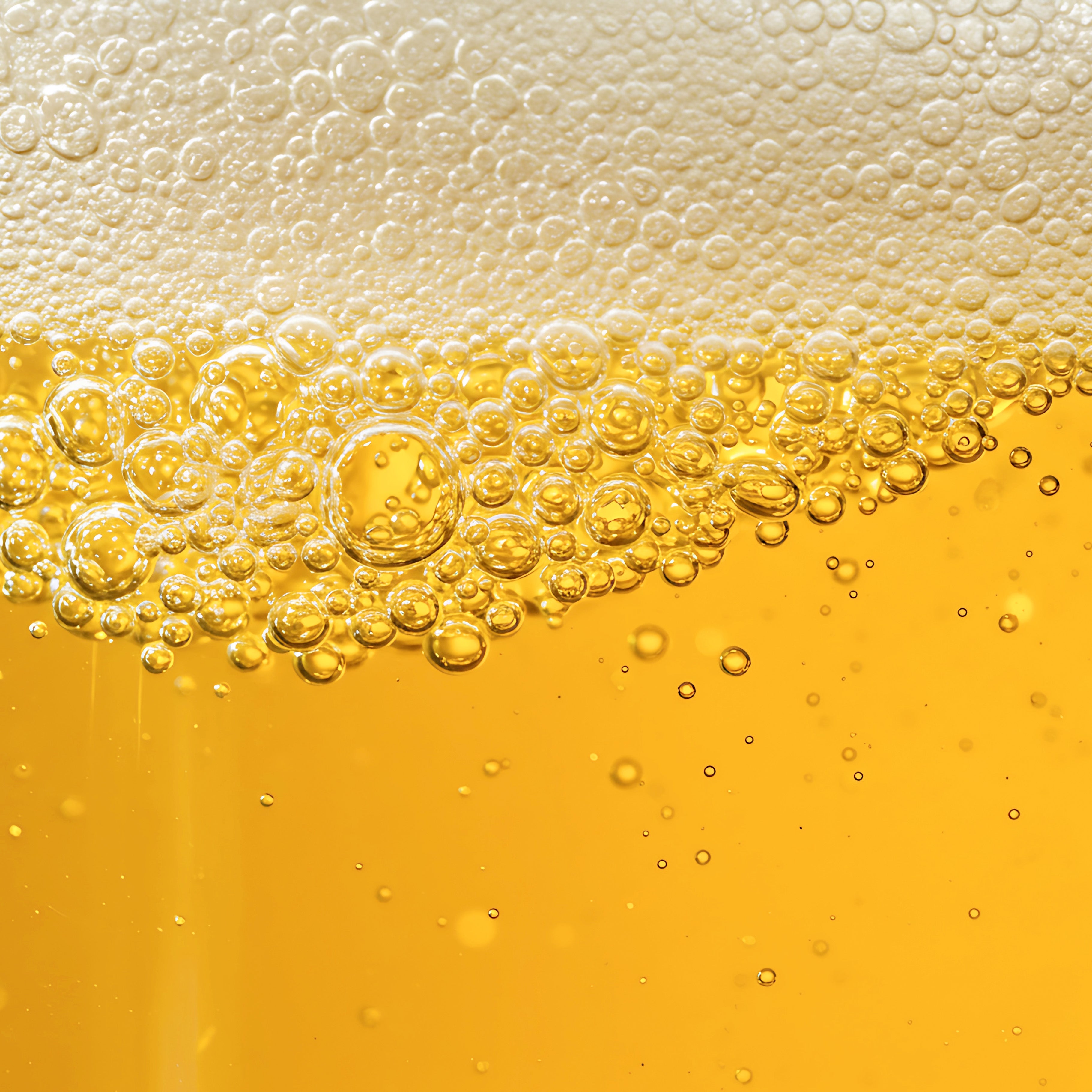 ALLES & MEHR! – Twisted Cat