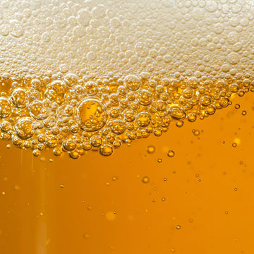 ALLES & MEHR! – Twisted Cat